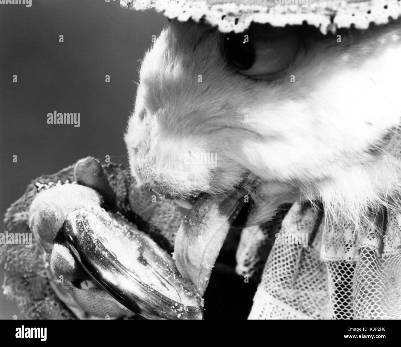 Neco z alenky Black and White Stock Photos & Images - Alamy