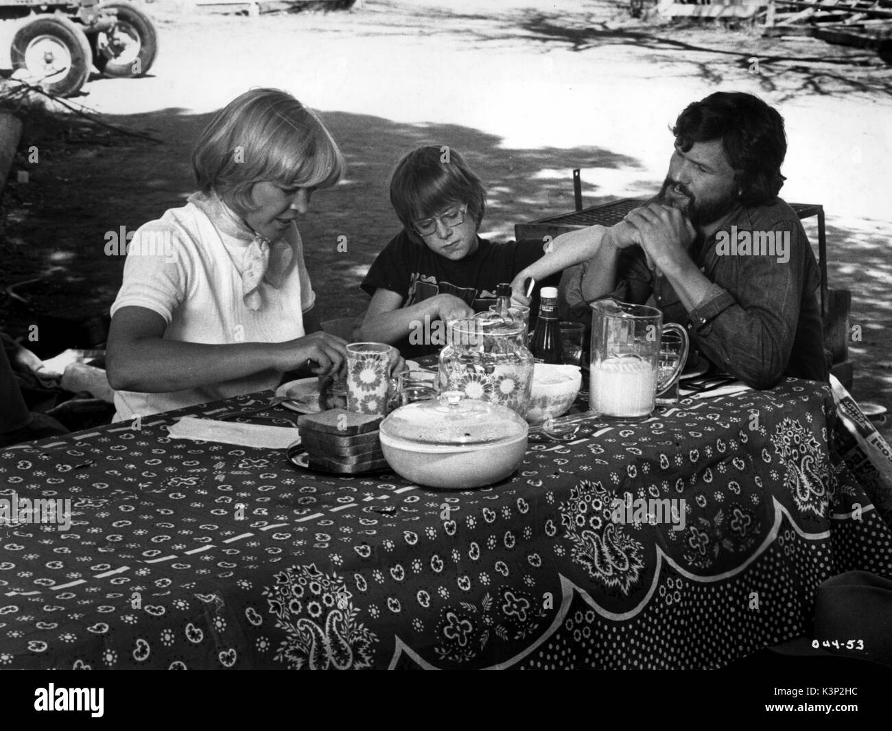 ALICE DOESN'T LIVE HERE ANYMORE [US 1974] [L-R] ELLEN BURSTYN, ALFRED ...