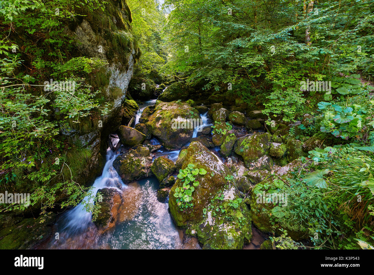 Galbena river and gorge in Apuseni natural reserve, Romania Stock Photo ...