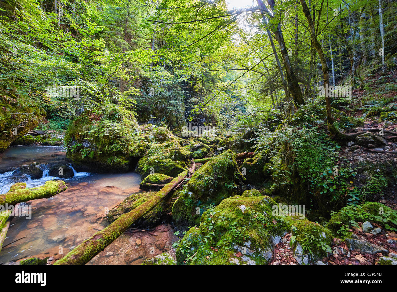 Galbena river and gorge in Apuseni natural reserve, Romania Stock Photo ...