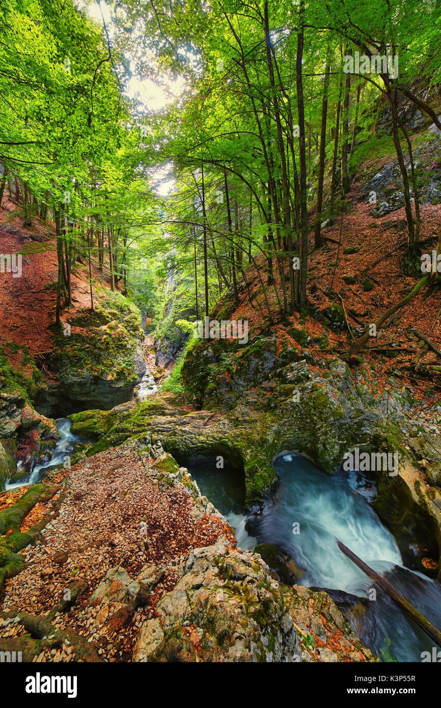 Galbena river and gorge in Apuseni natural reserve, Romania Stock Photo ...