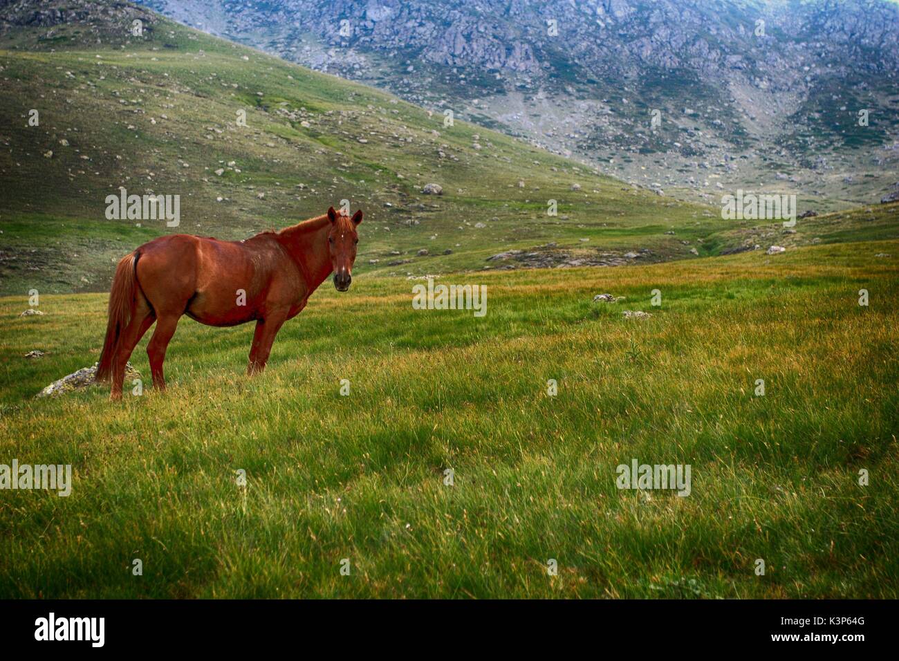 Shebenik mountains hi-res stock photography and images - Alamy