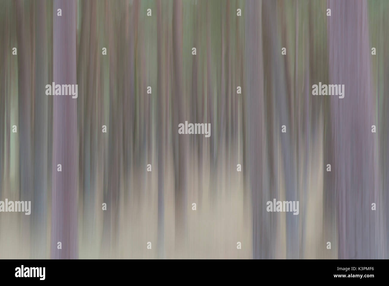 Abstract representation of trees by means of vertical movement as ...