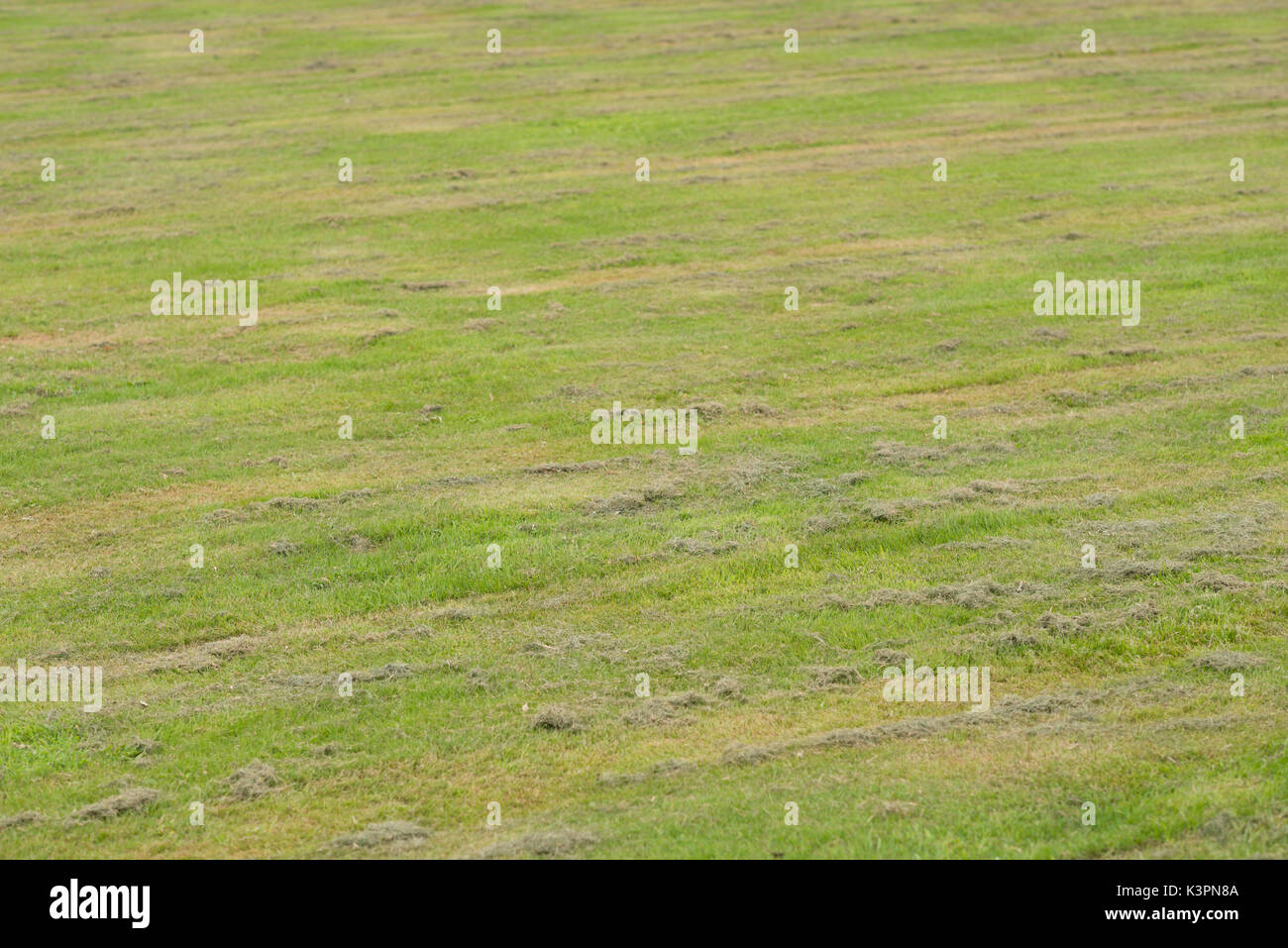 Mow strips hi-res stock photography and images - Alamy
