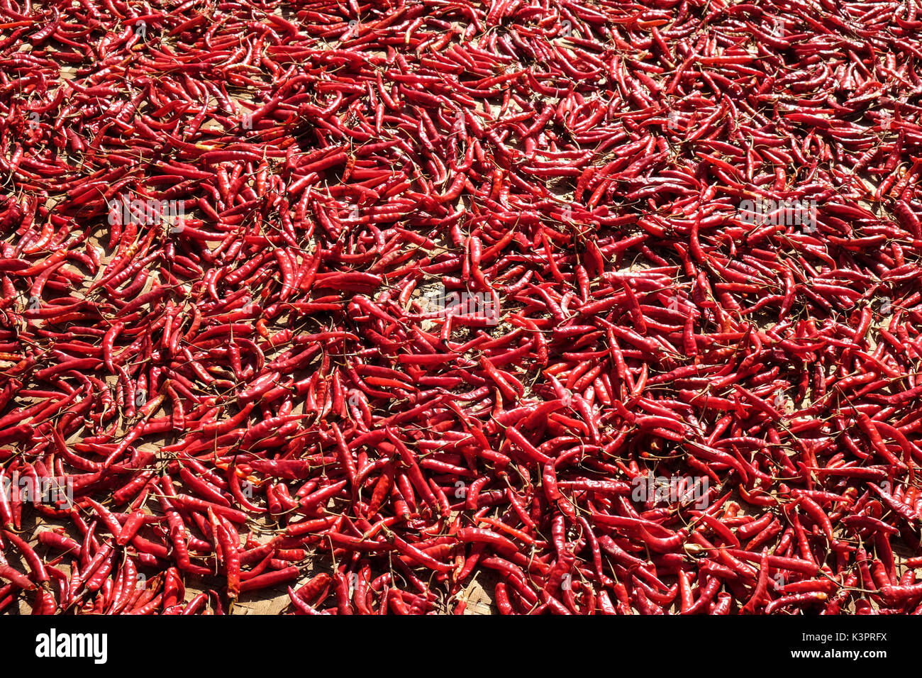 Chillies drying in the sun hi-res stock photography and images - Alamy