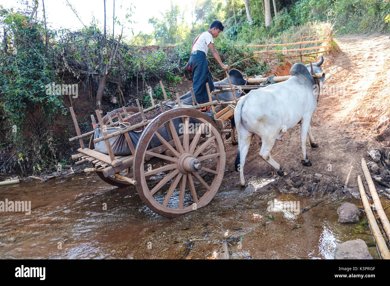 Buffalo cart hi-res stock photography and images - Alamy