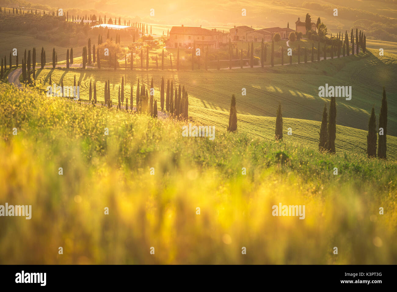 Podere baccoleno hi-res stock photography and images - Alamy