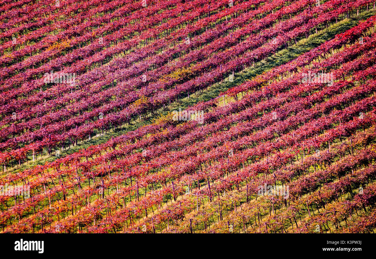 Modena colors hi-res stock photography and images - Alamy