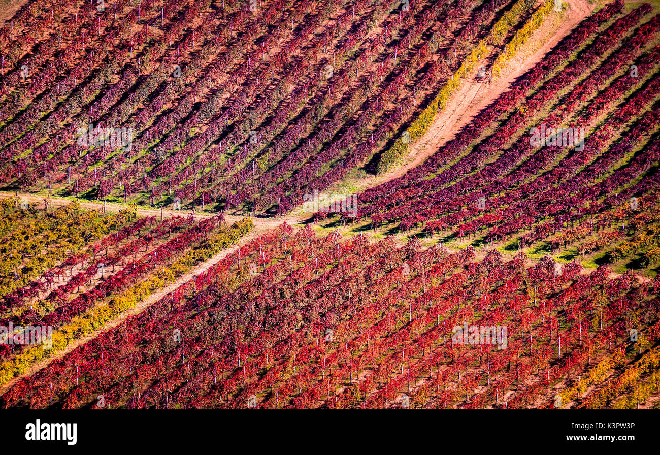 Modena colors hi-res stock photography and images - Alamy