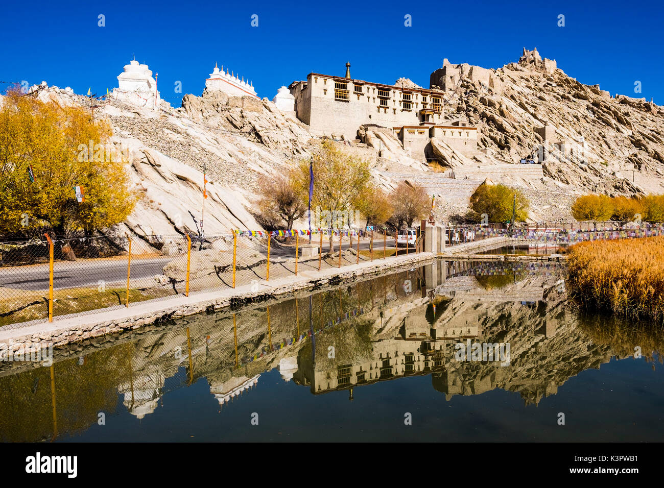 Shey Palace, Ladakh, North India, Asia Stock Photo - Alamy