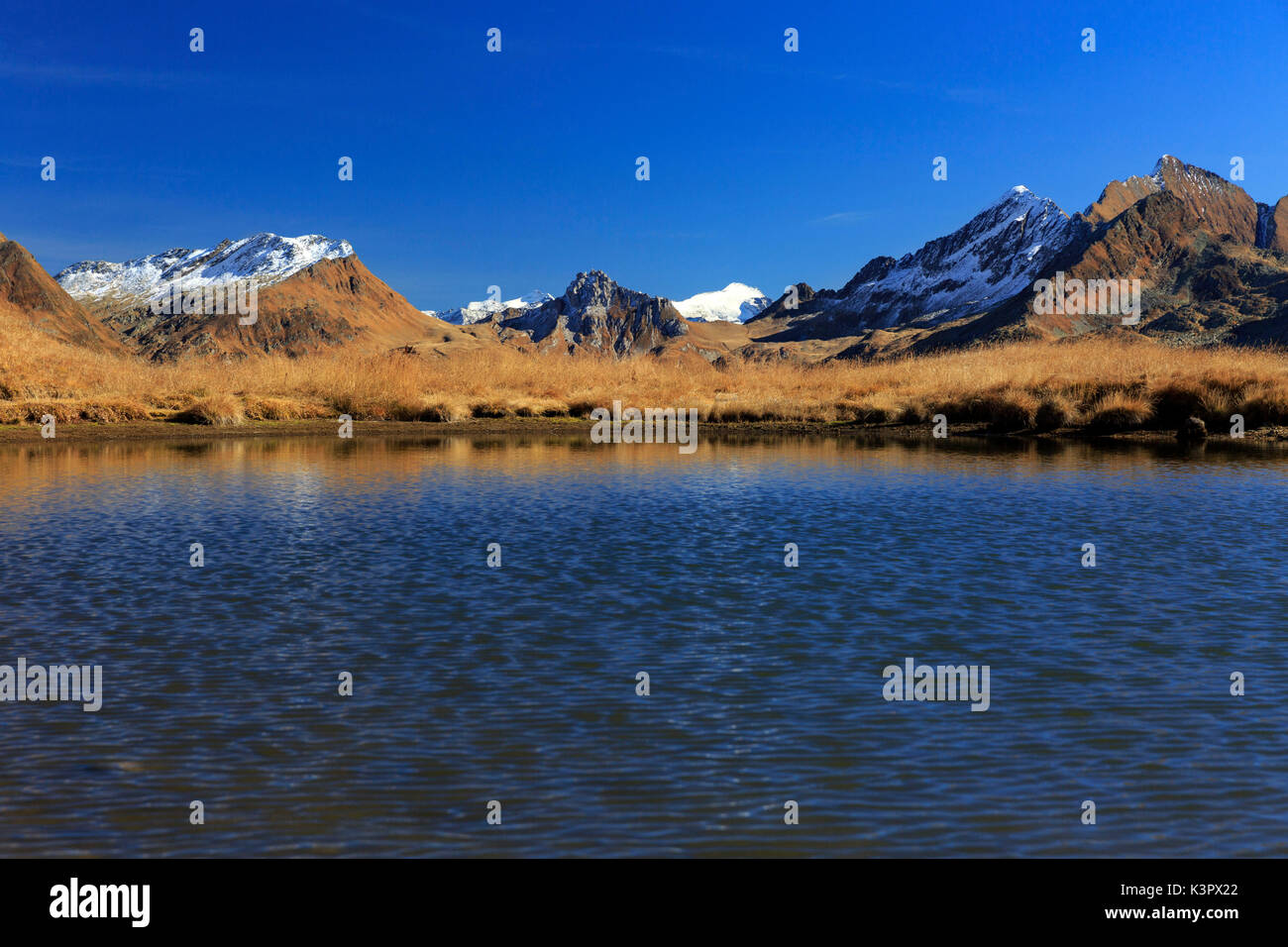 Rheinwaldhorn hi-res stock photography and images - Alamy