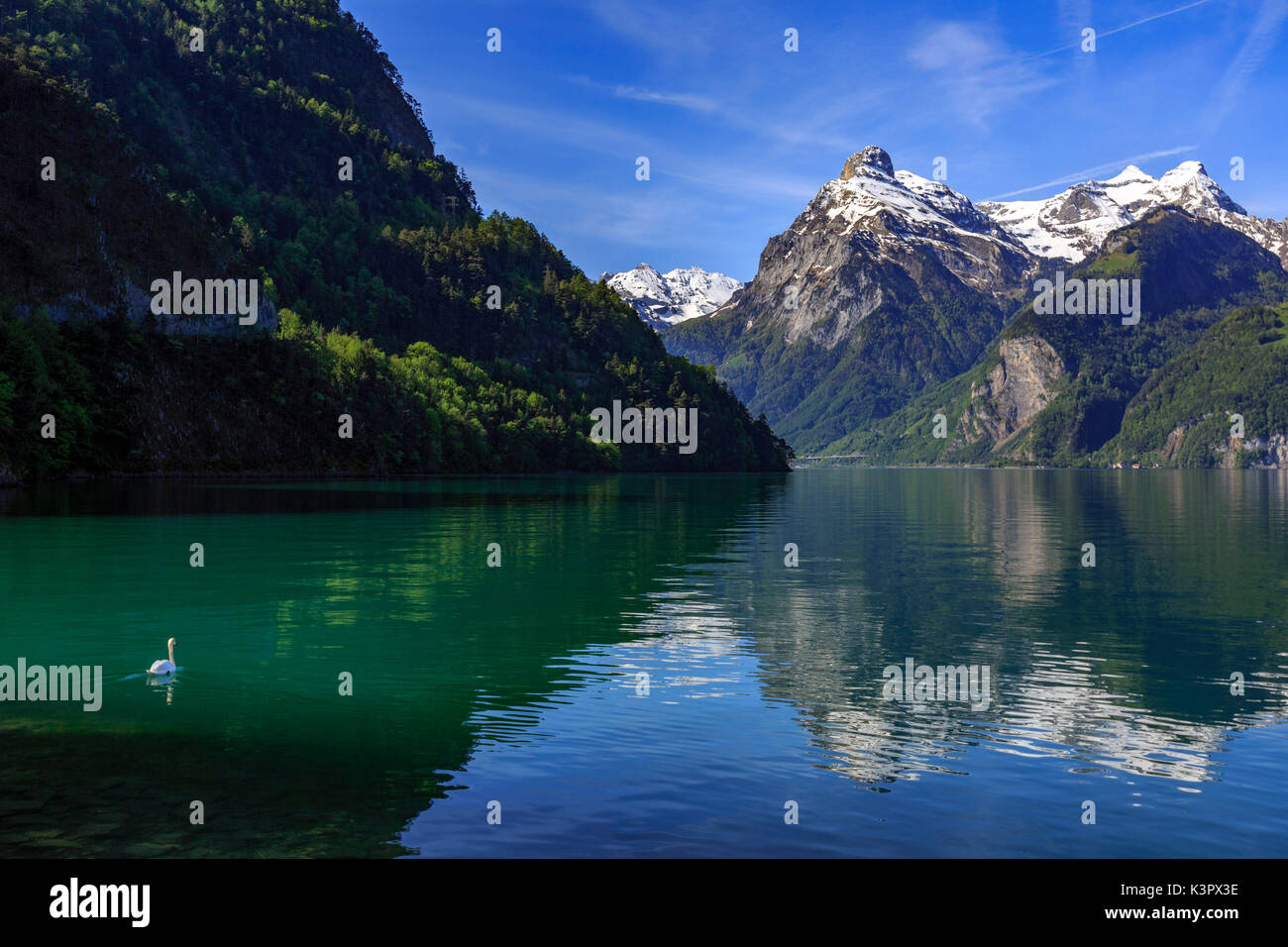 Urnersee hi-res stock photography and images - Alamy