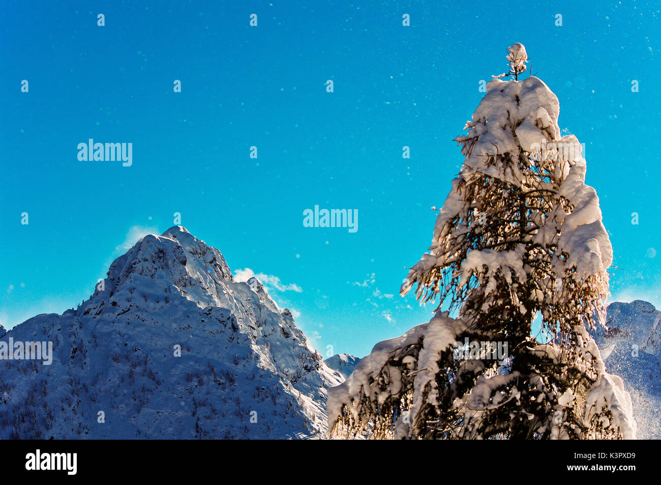 Pizzo tronella hi-res stock photography and images - Alamy