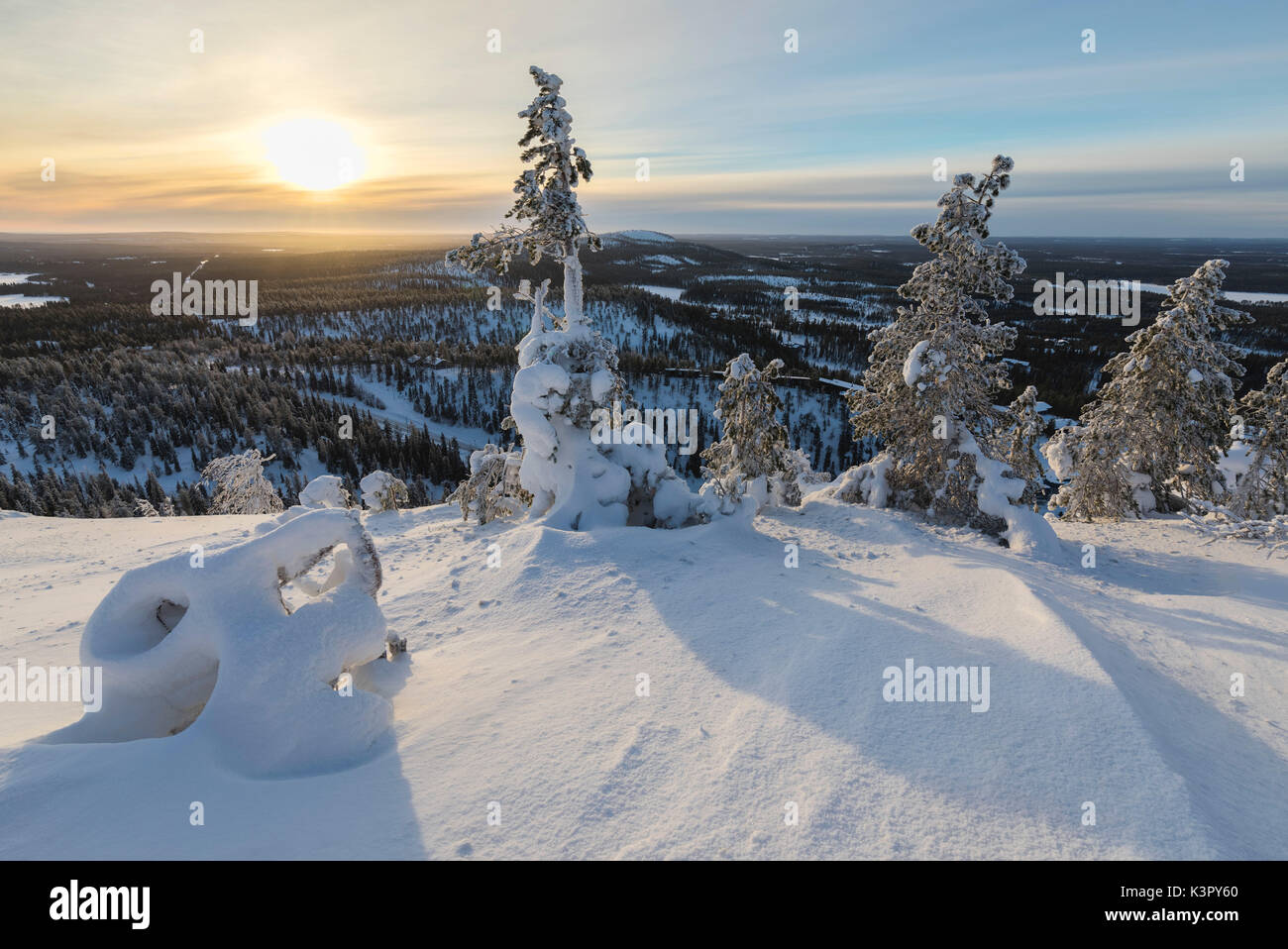 Sun and blue sky frame the the snowy woods in the cold arctic winter ...