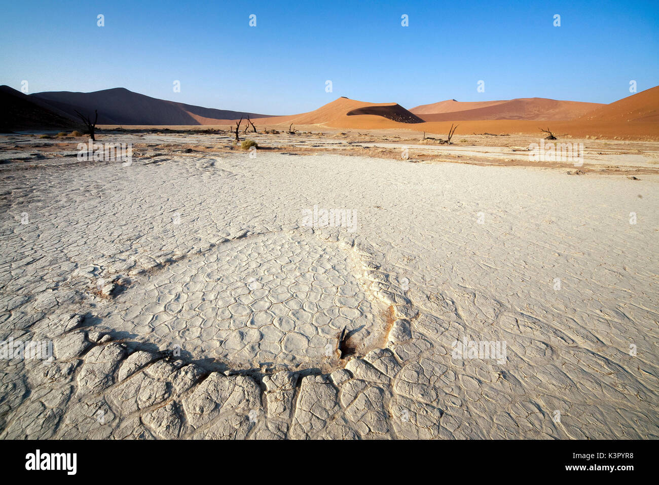 Parched ground hi-res stock photography and images - Alamy