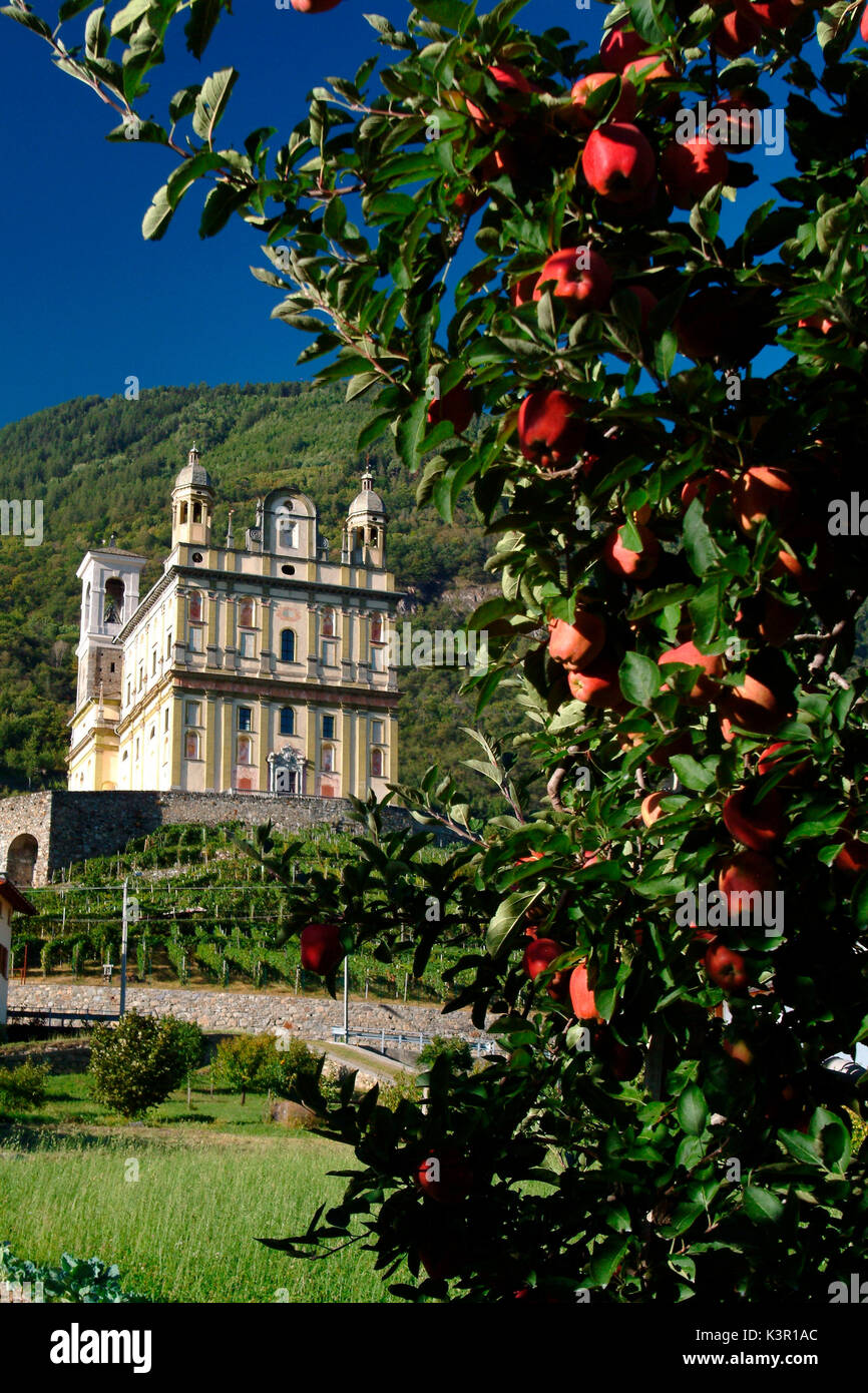 The Santa Casa in Tresivio surrounded by apples tres where apples are ...