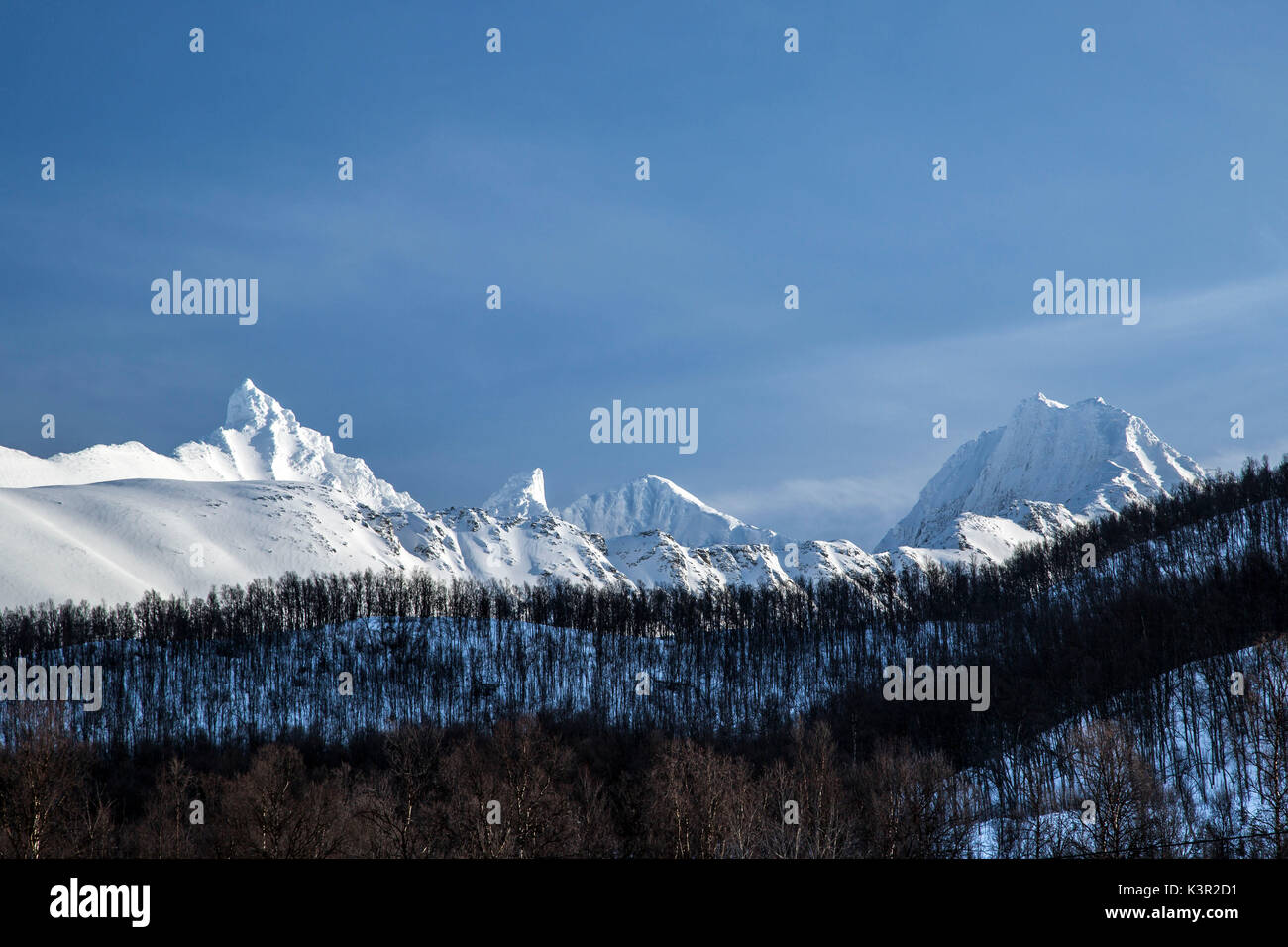 Blue sky and snowy peaks around woods Lyngen Alps Tromsø Lapland Norway ...