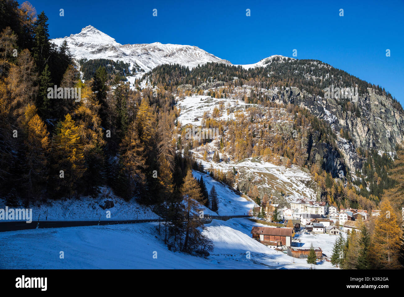 Snowy landscape and colorful trees in the small village of Mulegns Val ...