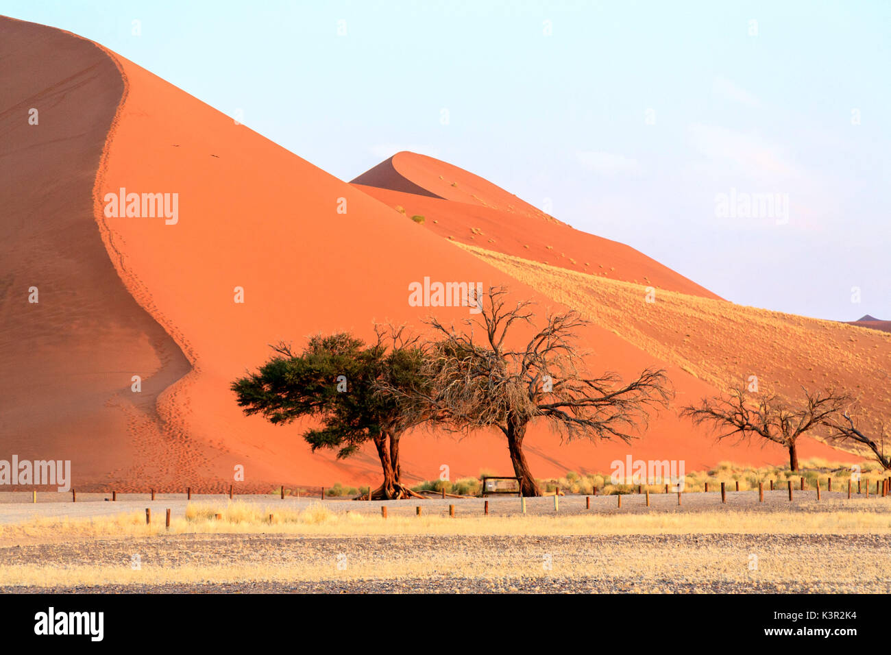 Dune 45 the star dune composed of 5 million year old sand Sossusvlei ...
