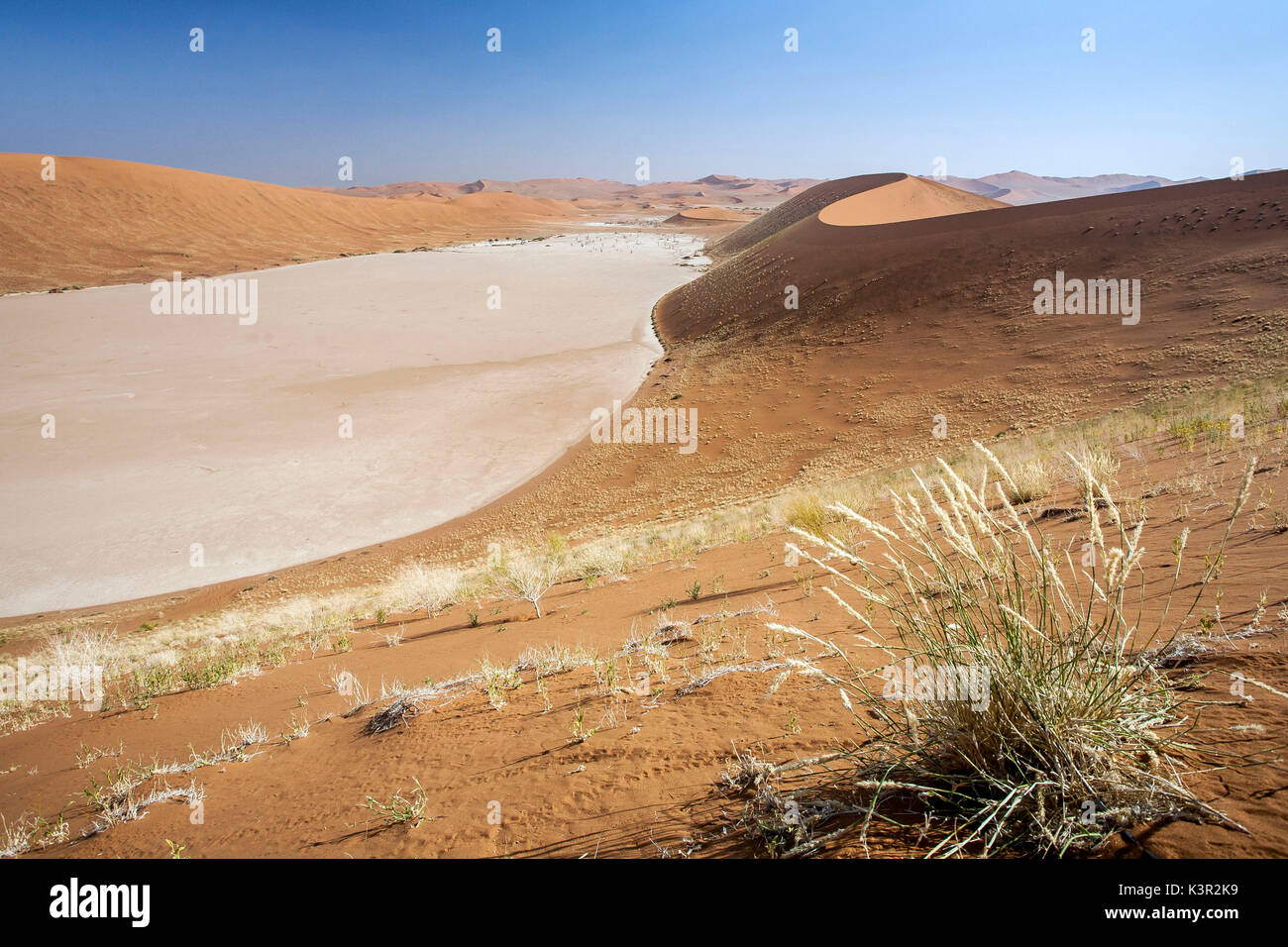 Dead marsh surrounded by sandy dunes Deadvlei Sossusvlei Namib Desert ...
