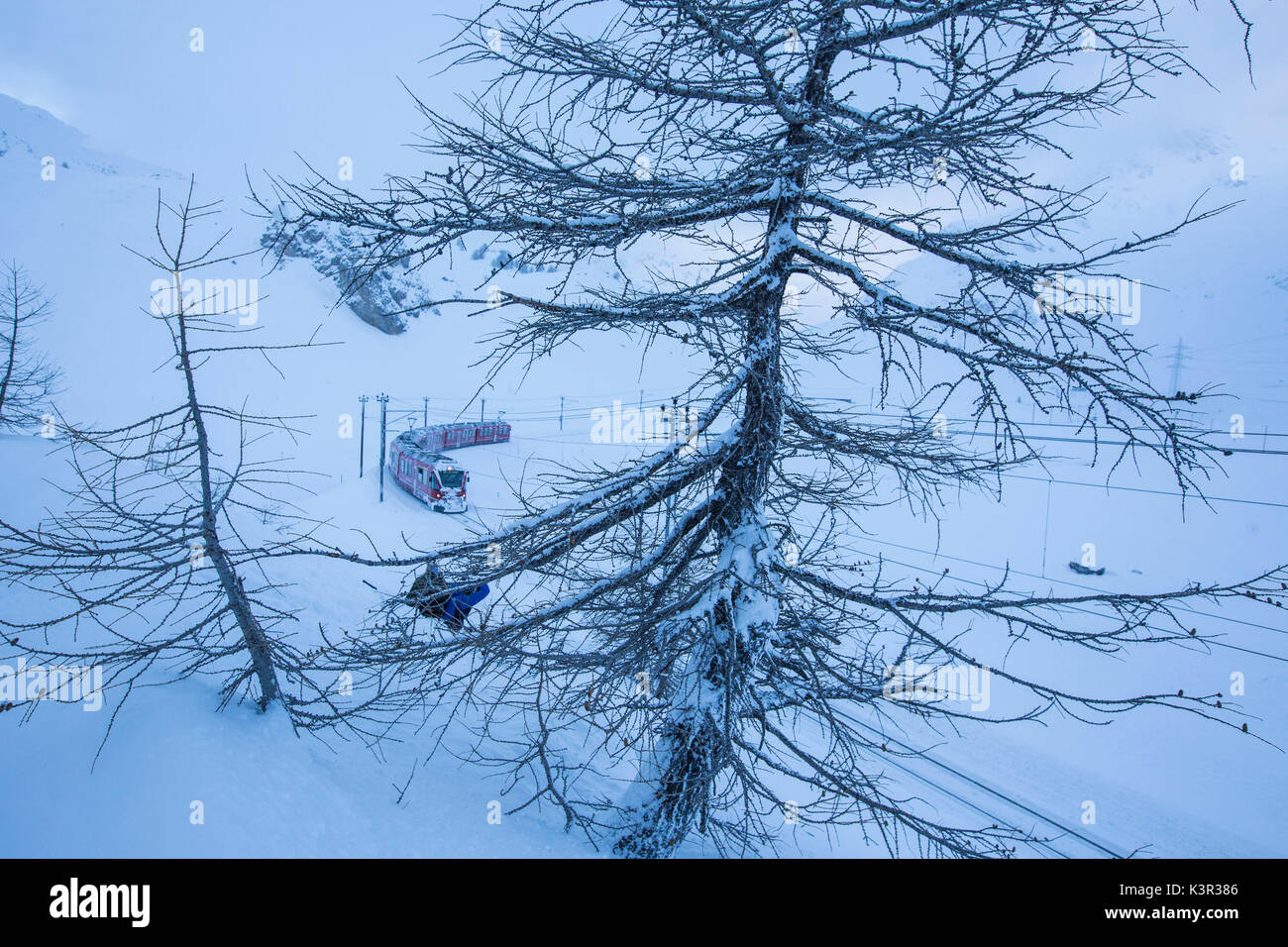 Bernina Express train at Bernina Pass Canton of Grisons Switzerland ...