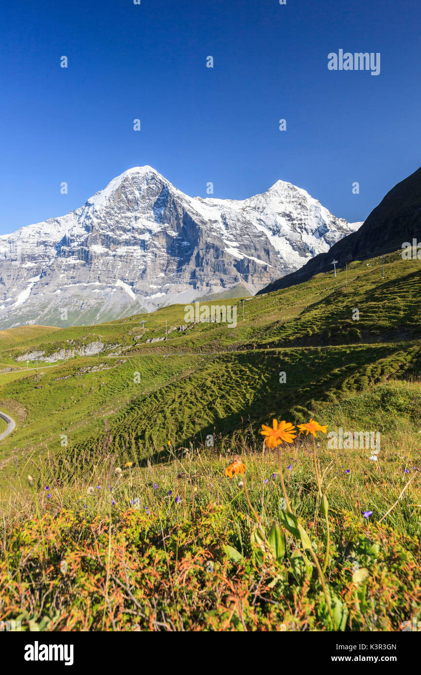View of Mount Eiger from Männlichen Grindelwald Bernese Oberland Canton ...