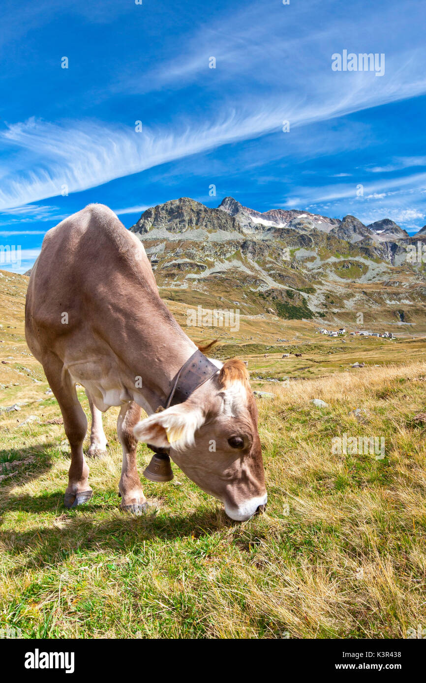 At the beginning of val loga hi-res stock photography and images - Alamy