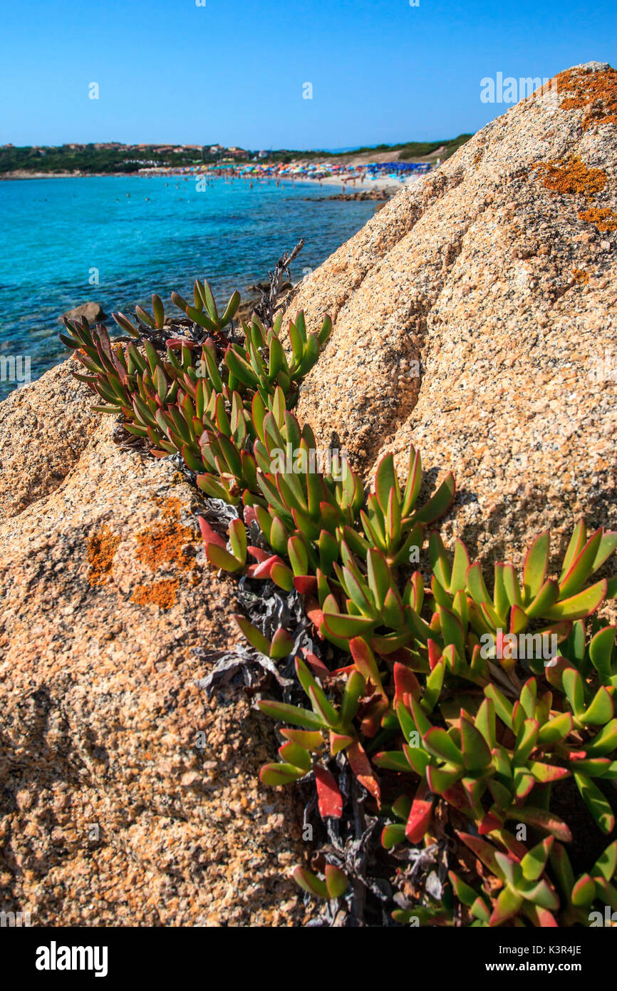 Capo Testa, Sardinia, Italy Stock Photo - Alamy