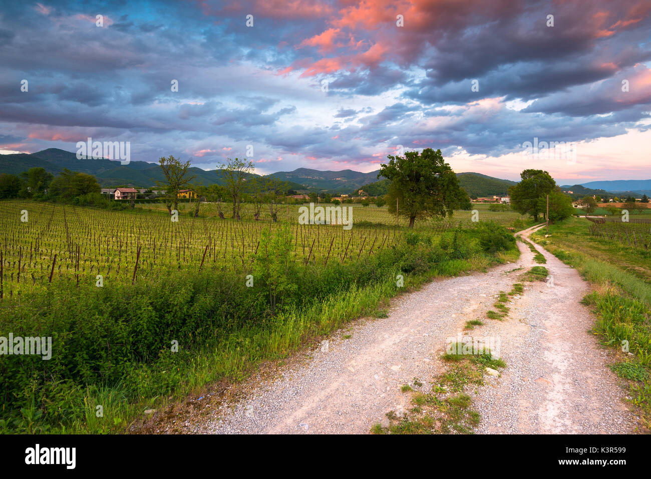 Franciacorta wine hills hi-res stock photography and images - Alamy