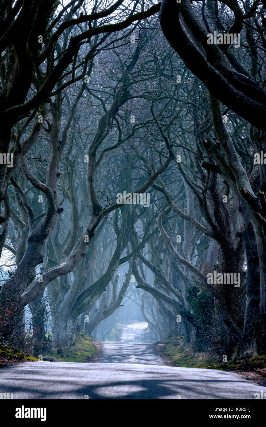 Ballymoney, county antrim hi-res stock photography and images - Alamy