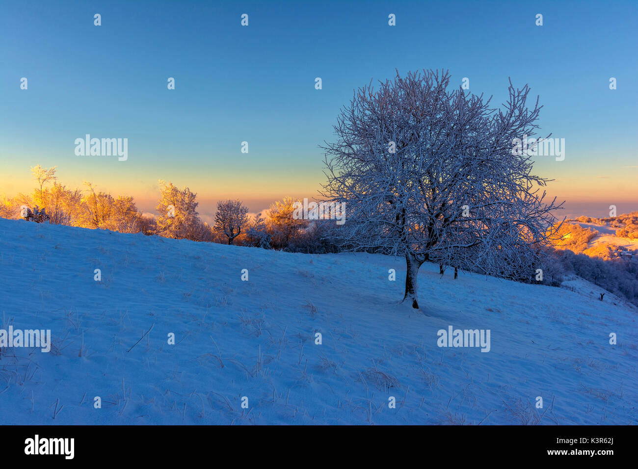 Prealpi hi-res stock photography and images - Alamy