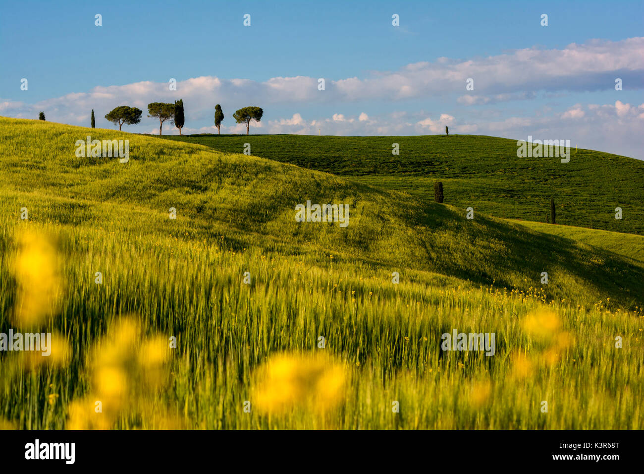 Tuscany in spring hi-res stock photography and images - Alamy