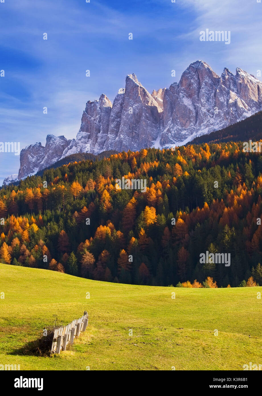 Italy the odle group and the colors of autumn hi-res stock photography ...