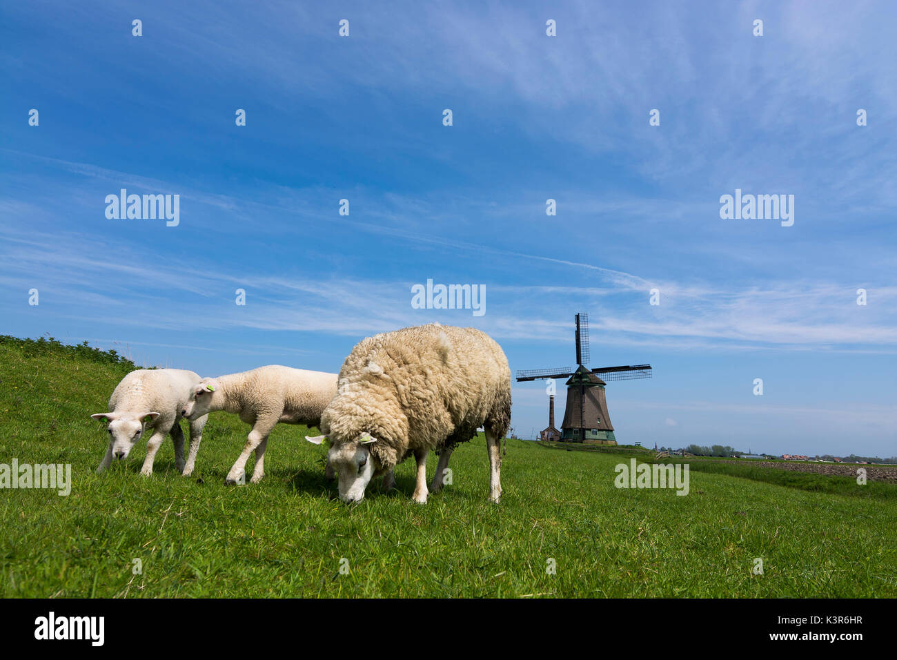 Opmeer netherlands hi-res stock photography and images - Alamy