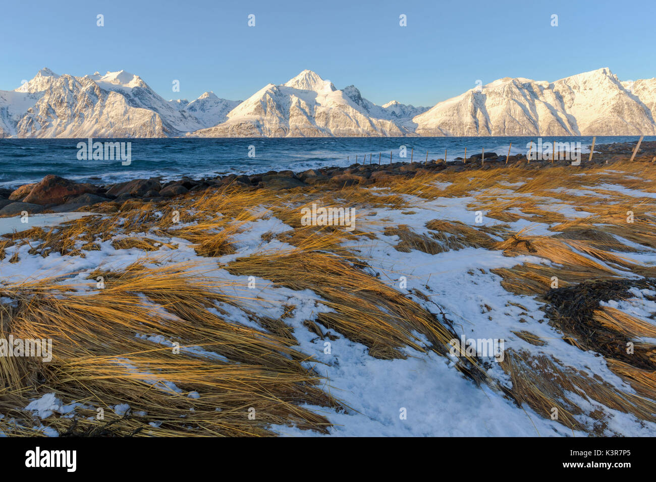 The wind shakes the dry grass illuminated by the sun. Spaknesora ...