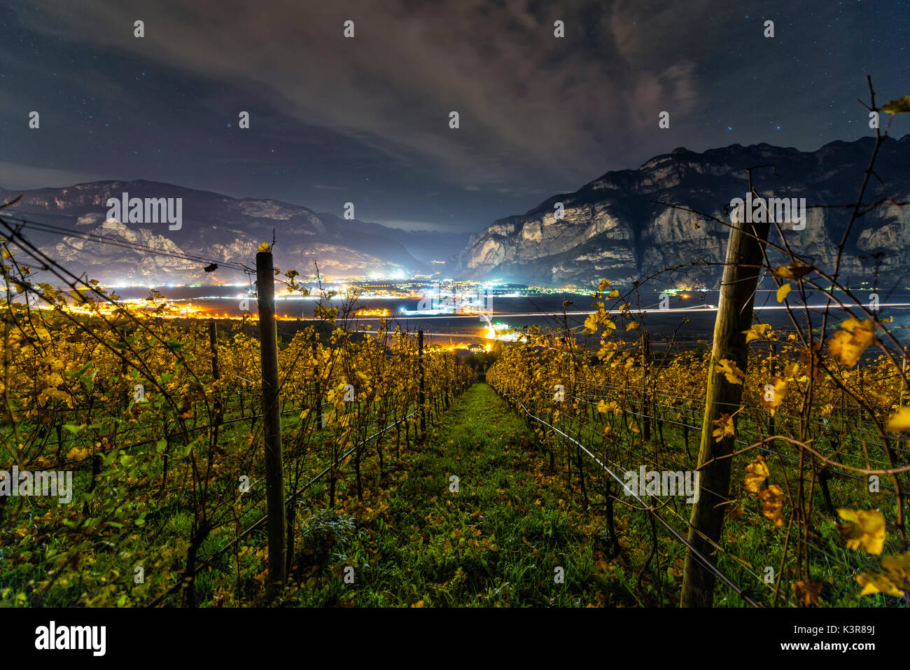 Italy, Trentino Alto Adige, starry night over vineyards in autumn on ...
