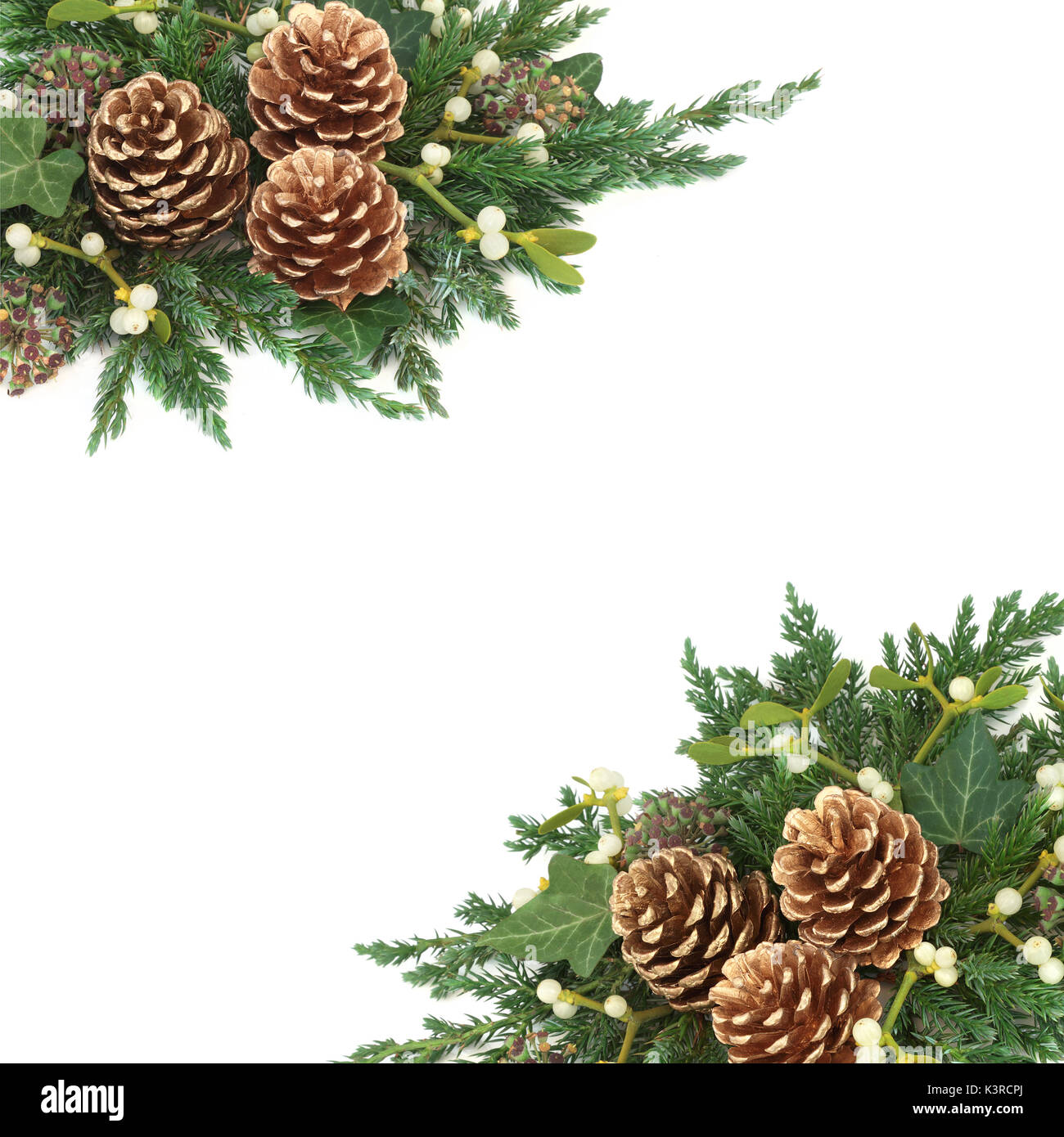 Christmas decorative background border with gold pine cones, ivy ...