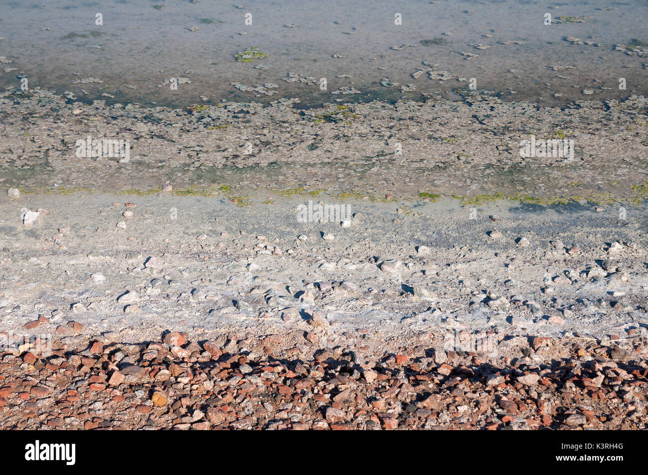 The Dead Sea Pools in Ein Evrona Park Stock Photo - Alamy