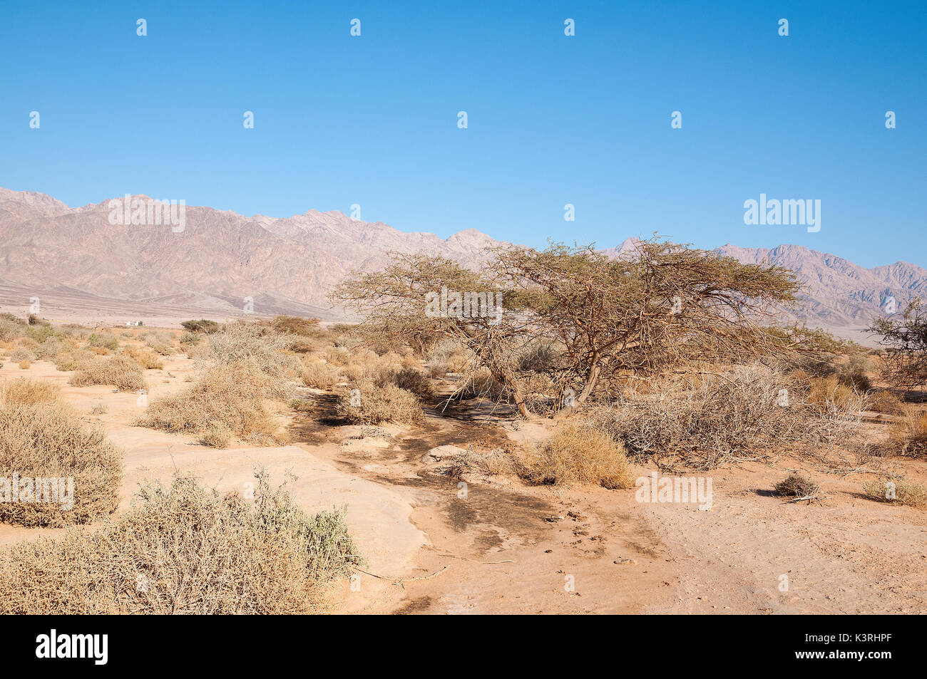 Israeli - Jordan border Stock Photo - Alamy