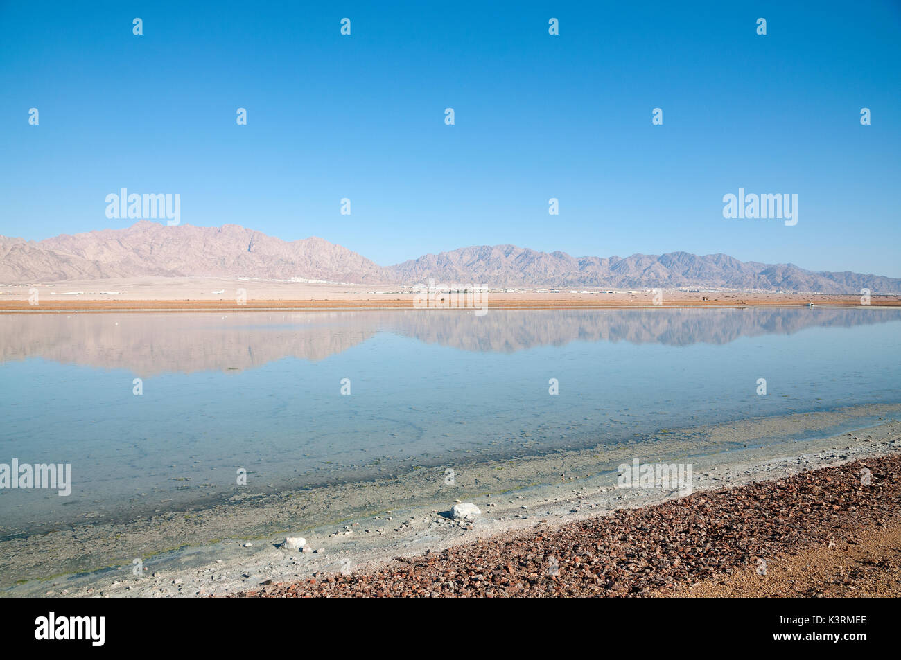 The Dead Sea Pools in Ein Evrona Park Stock Photo - Alamy
