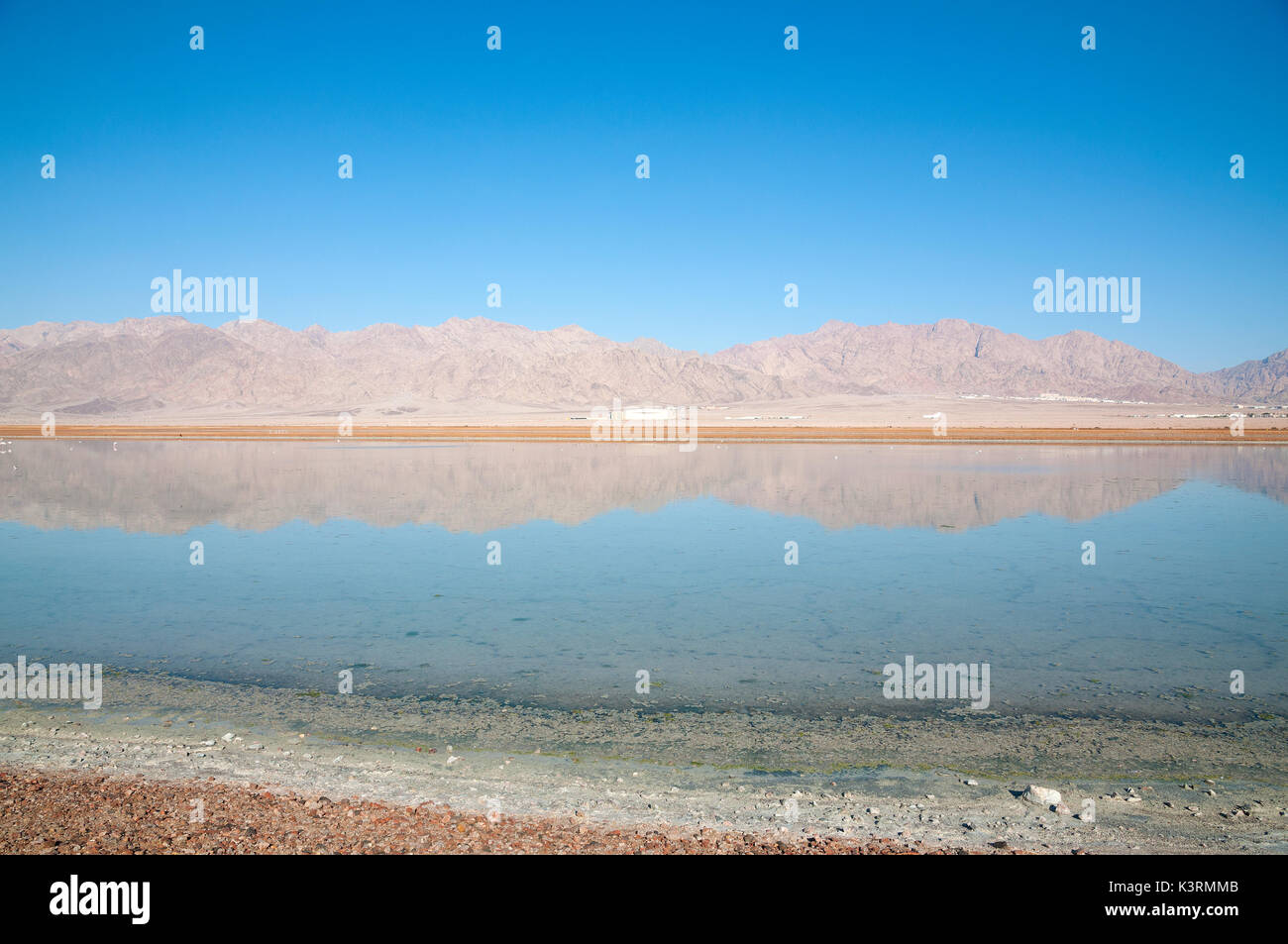 Dead sea salt pools israel hi-res stock photography and images - Alamy
