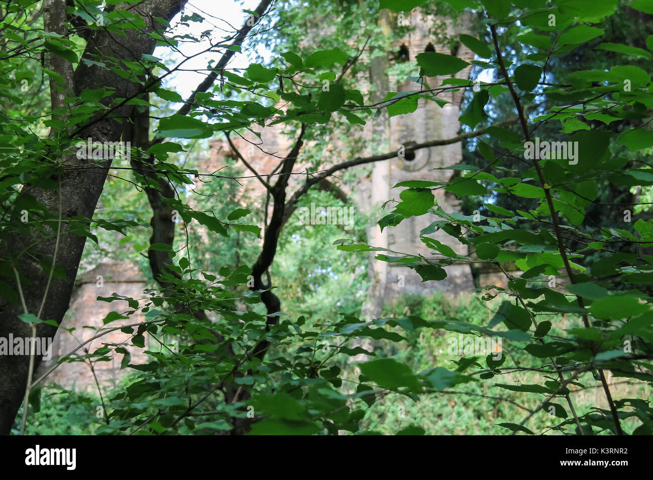 Ruined medieval castle through trees branches in Villa Sorra ...