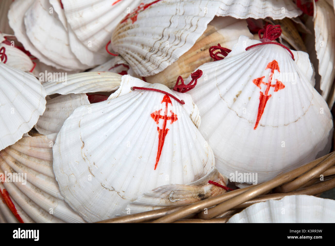 Shell Symbol from Camino de Santiago, Galicia; Spain Stock Photo - Alamy