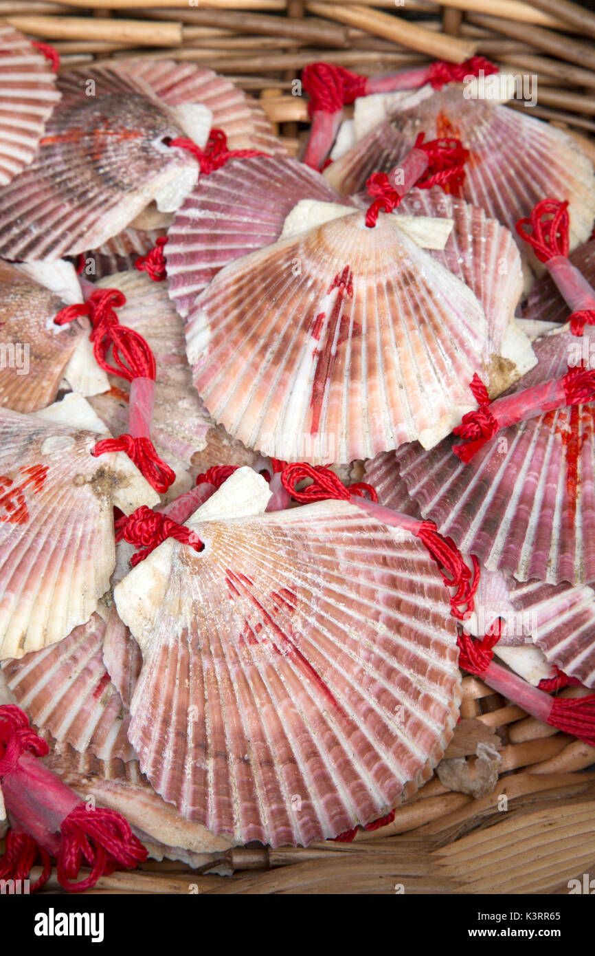 Shell Symbol of Camino de Santiago Galicia; Spain; Spanish Stock Photo ...