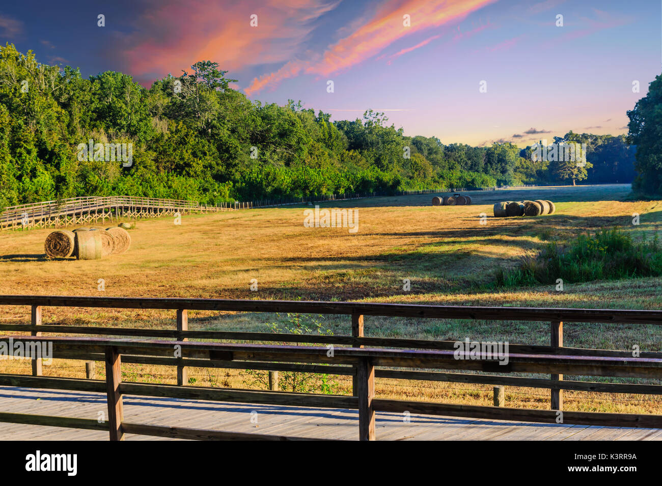 Rolls of Summer Hay in a Field by a Wood Walkway Stock Photo - Alamy