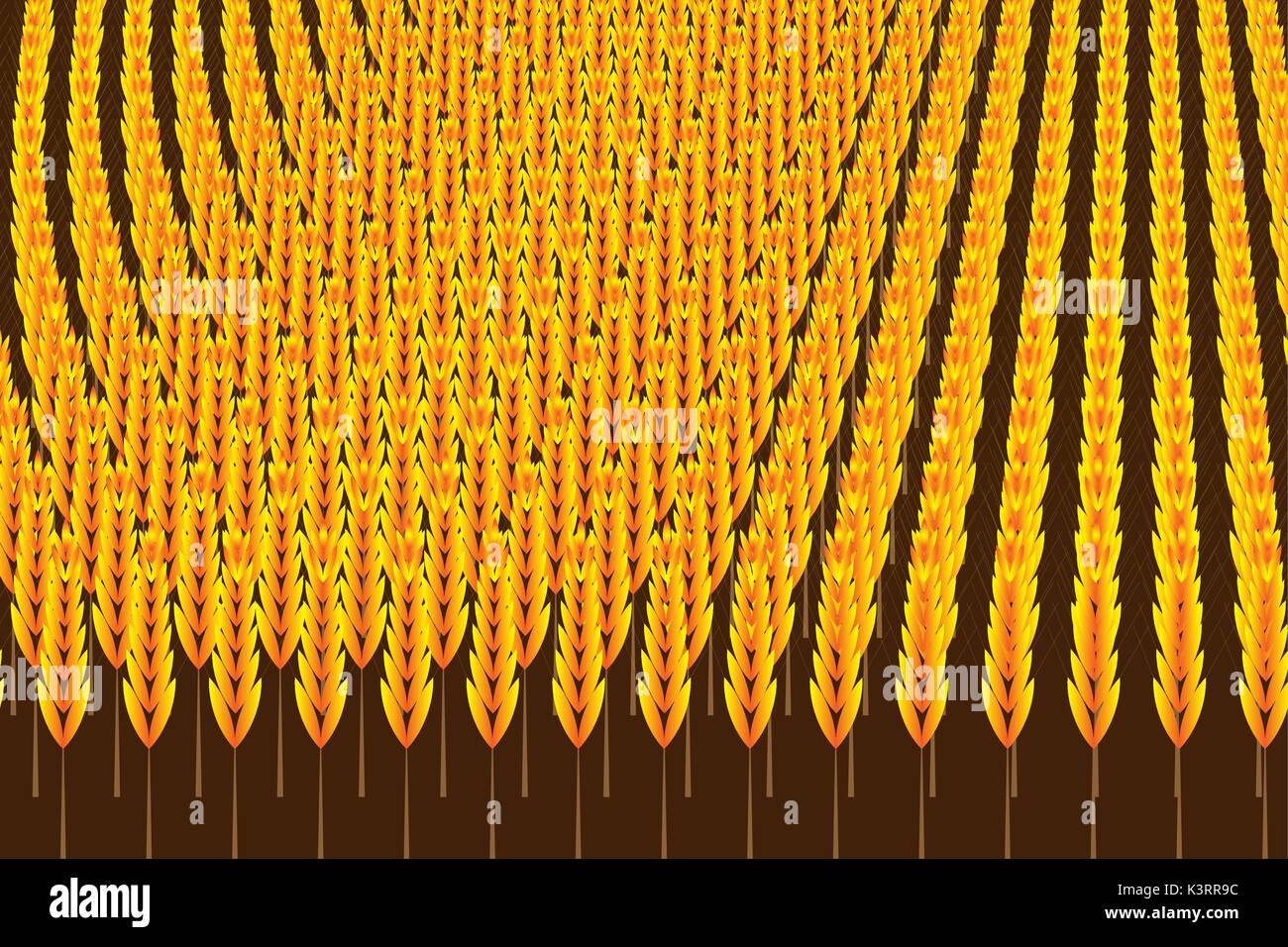 Harvesting of grains Stock Vector Images - Alamy
