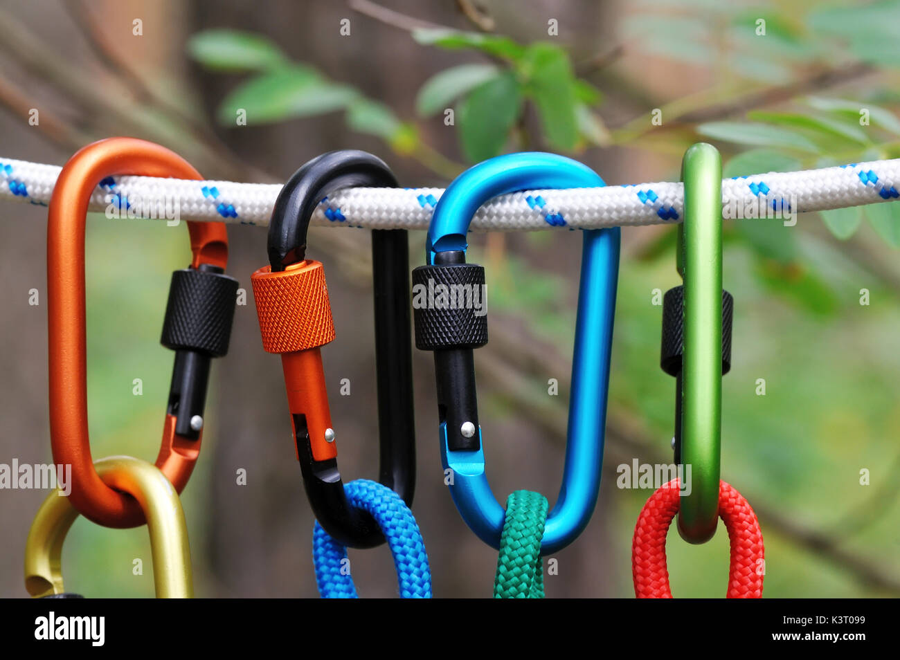 Carabiner with rope on nature background. Climbing uquipment.Climbing ...