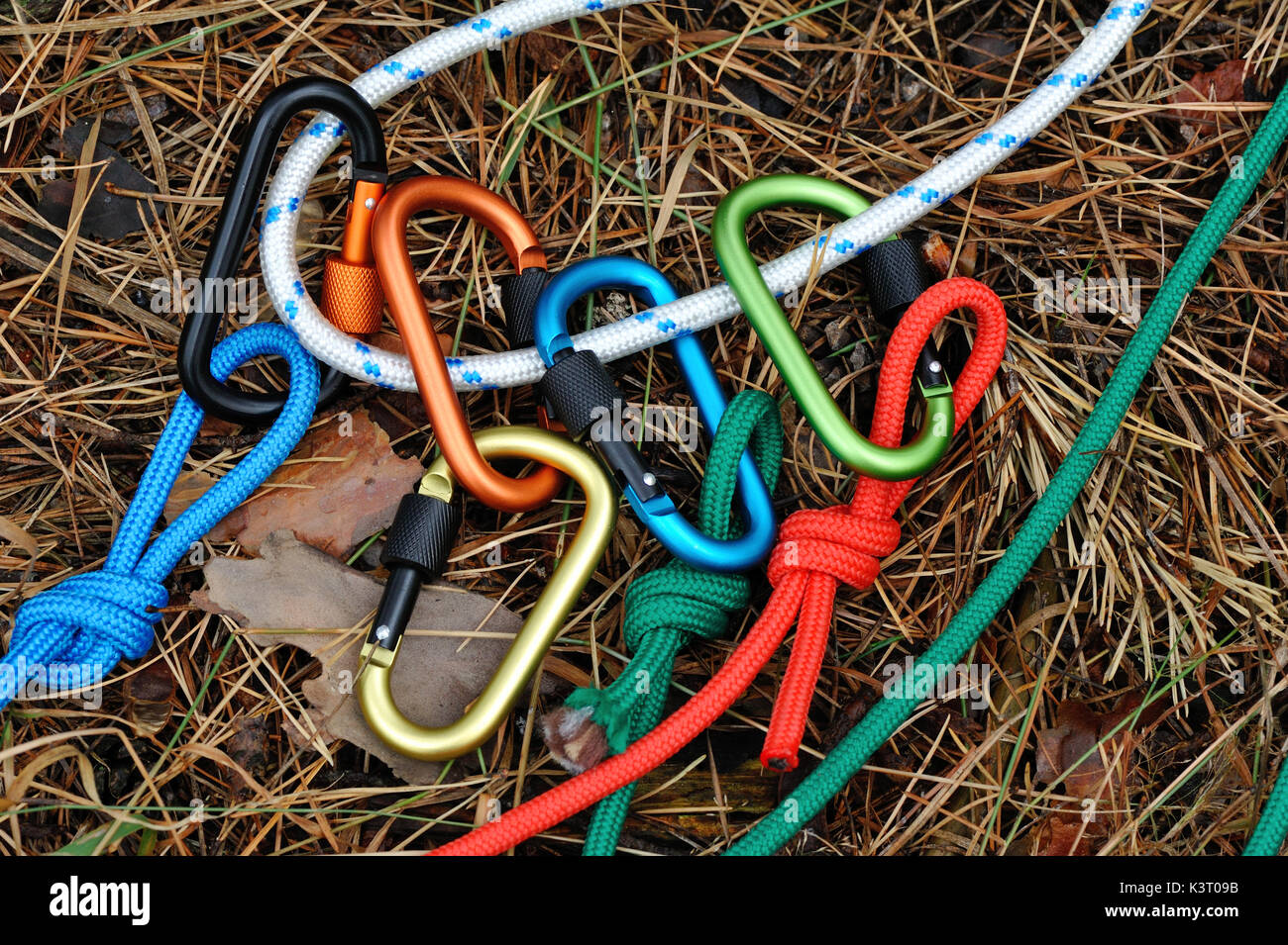 Carabiner with rope on nature background. Climbing uquipment.Climbing ...