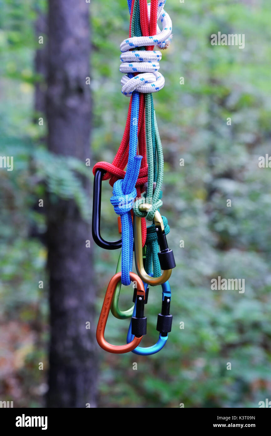 Carabiner with rope on nature background. Climbing uquipment.Climbing ...