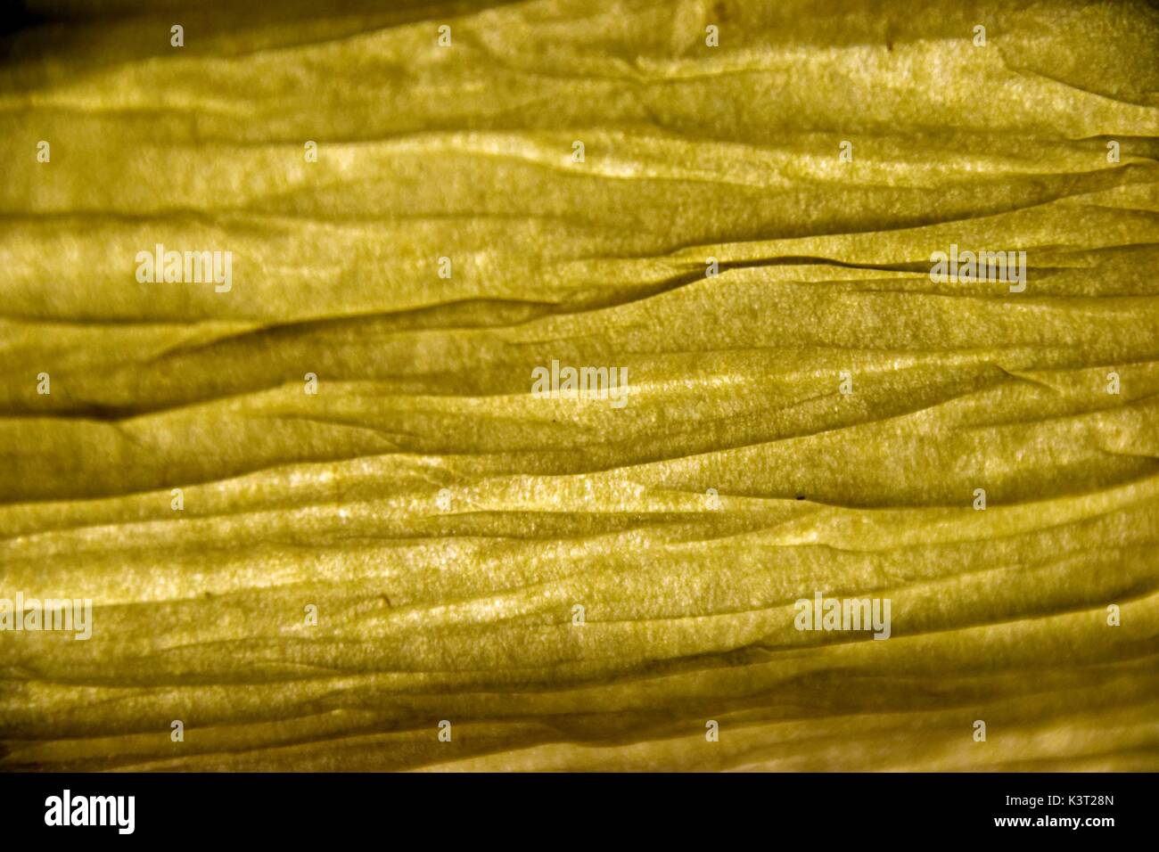 translucent lampshade, lampshades, lighted lampshade, opaque, directing ...